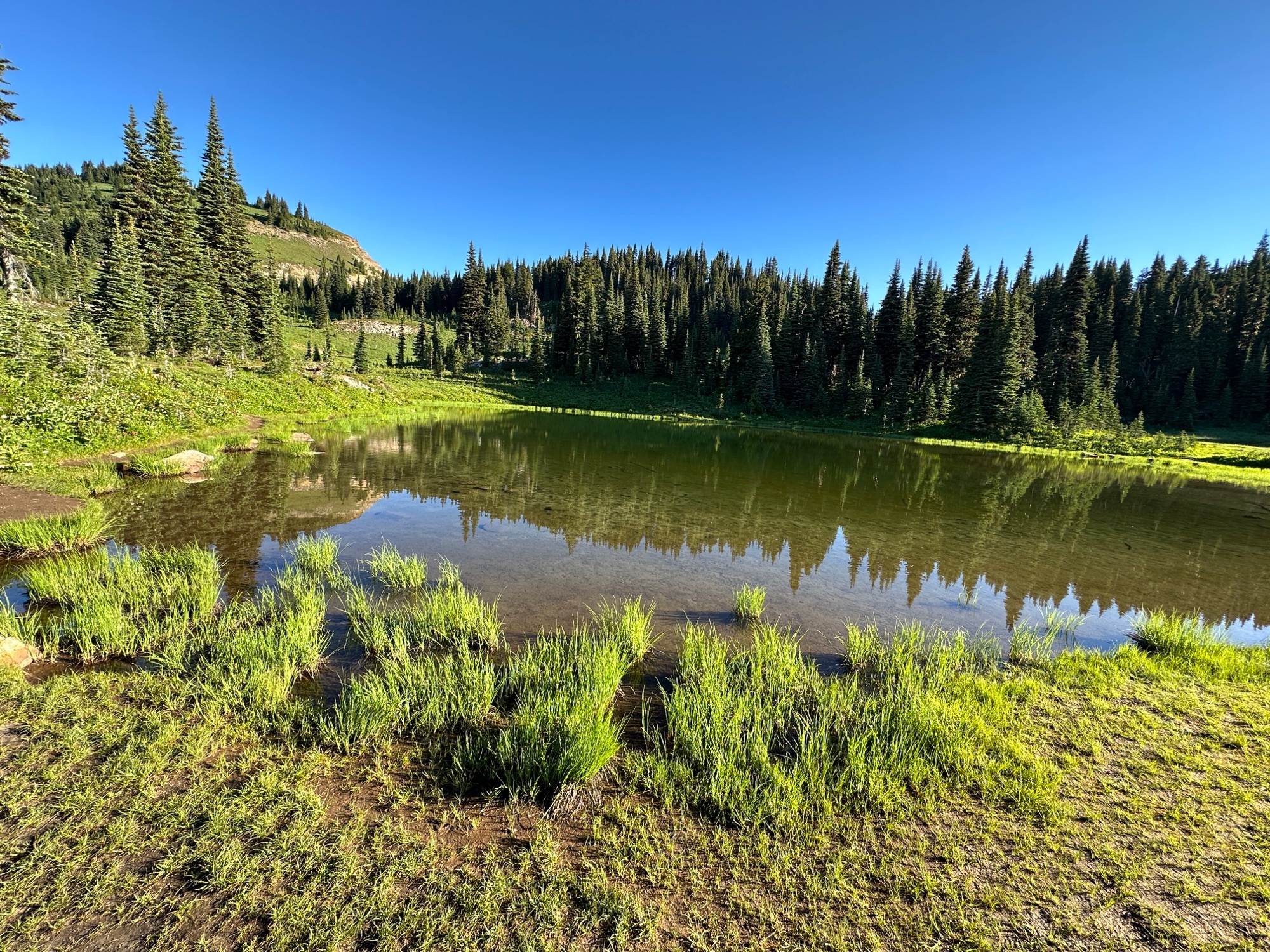 Naches Peak Loop Trail, Washington | Relive