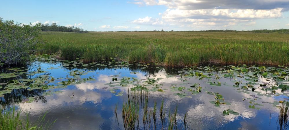 10 Best Outdoor Activities in Everglades Park | Relive