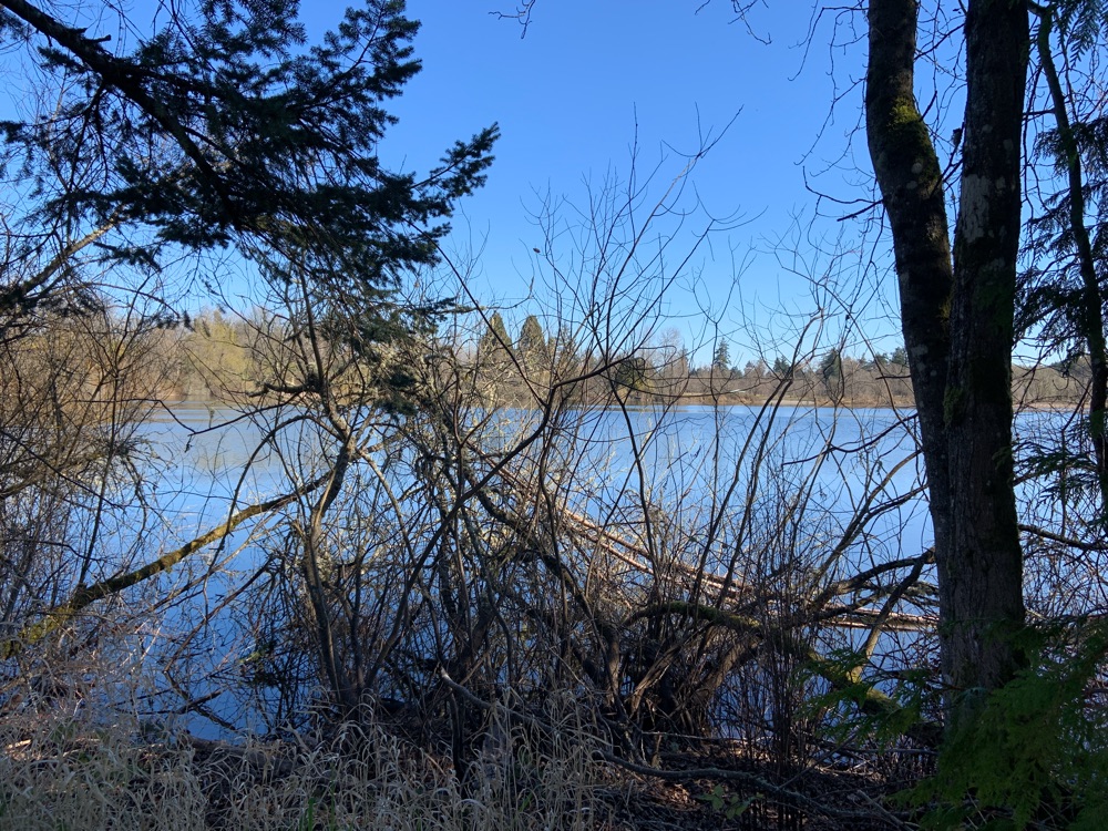 Fort Steilacoom Park, Washington | Relive